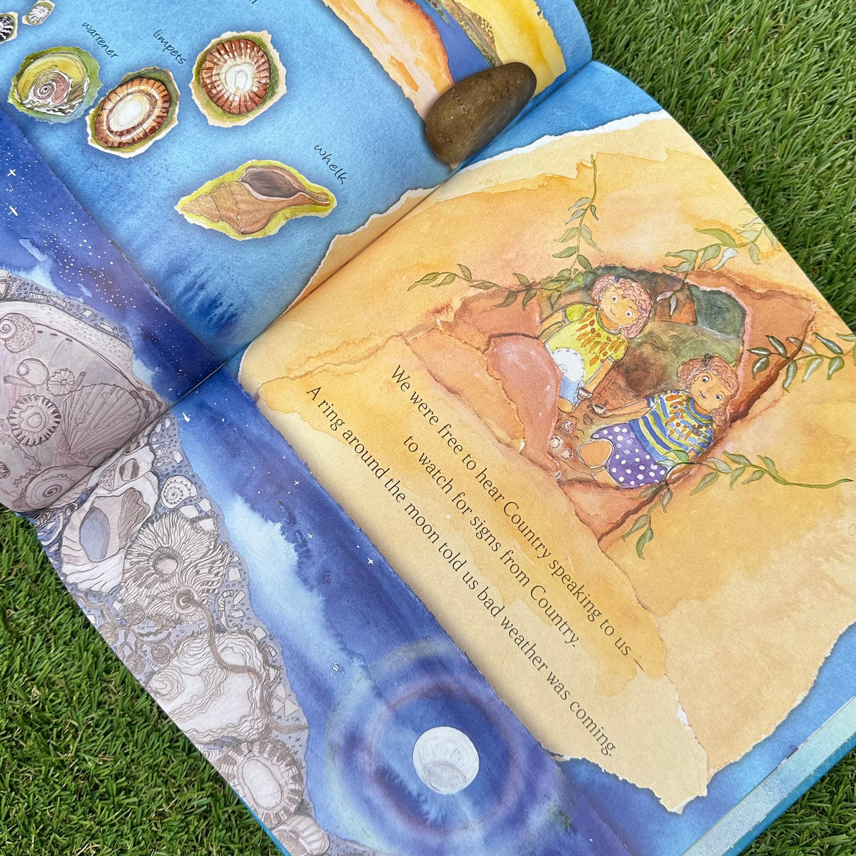 Sea Country book by Aunty Patsy Cameron and Lisa Kennedy – Lily & Dot